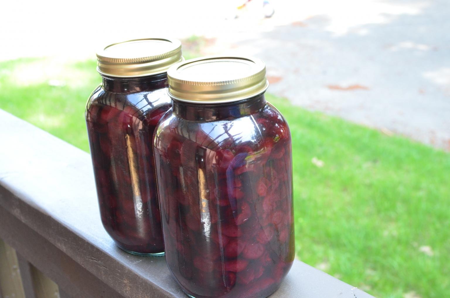 Canned Cherries Recipe (Very Easy) - Momsdish