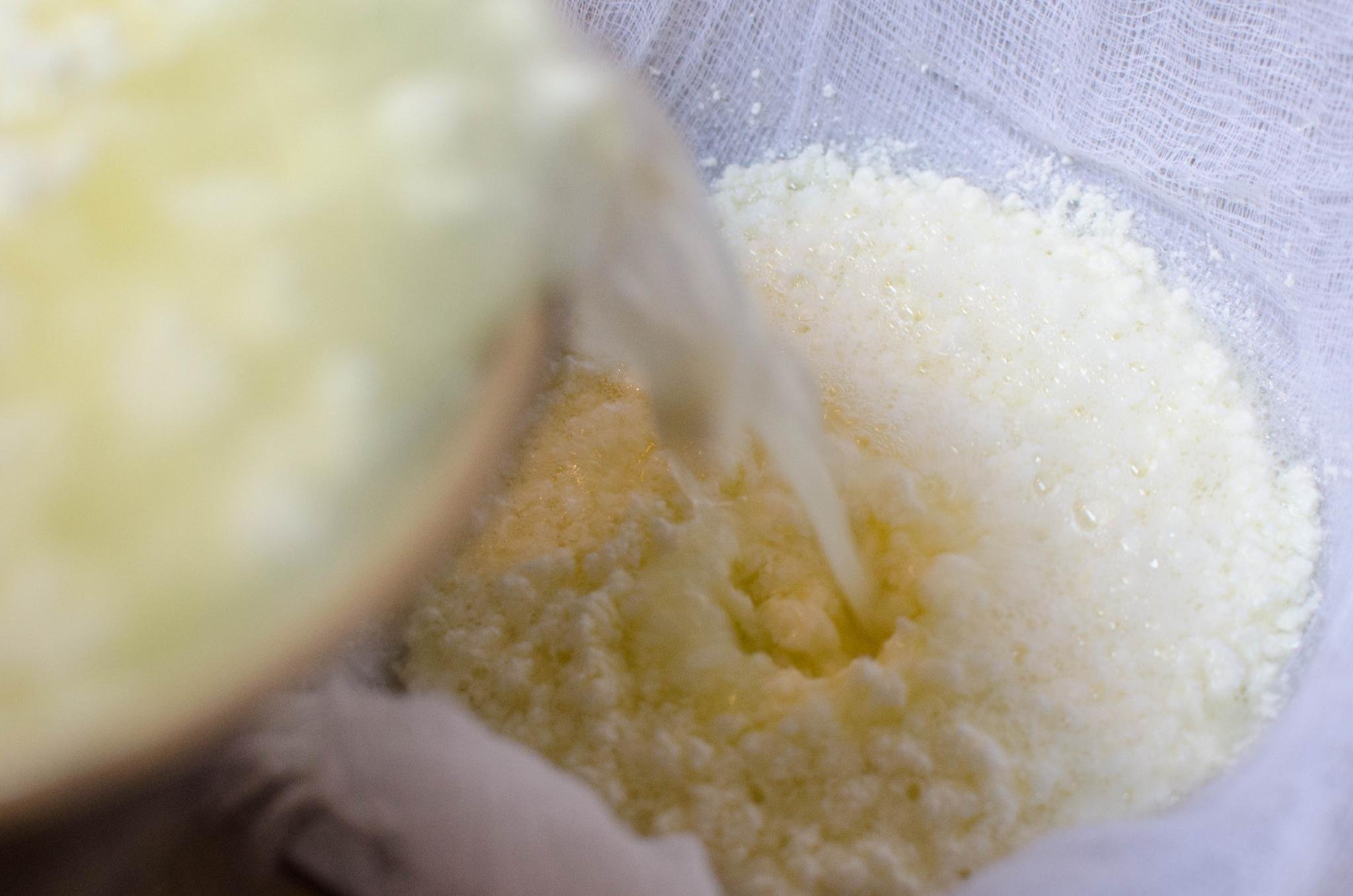 Easy Homemade Farmers Cheese aka Tvorog Recipe Recipe - Momsdish