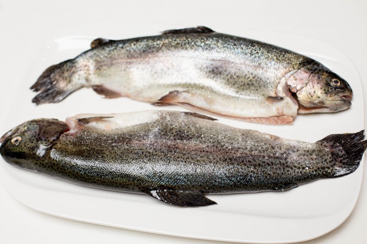 Lemon-Herb Baked Trout Recipe - Momsdish