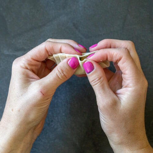 Gyoza Recipe (Japanese Dumplings) - Momsdish