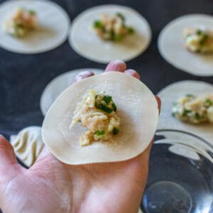 Gyoza Recipe (Japanese Dumplings) - Momsdish