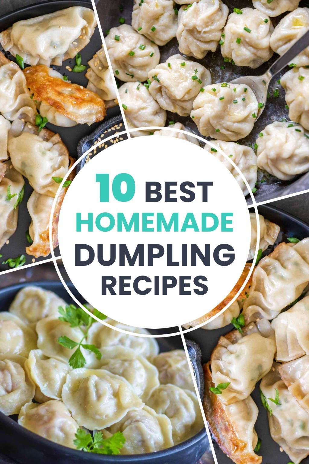 10 BEST Homemade Dumpling Recipes - Momsdish