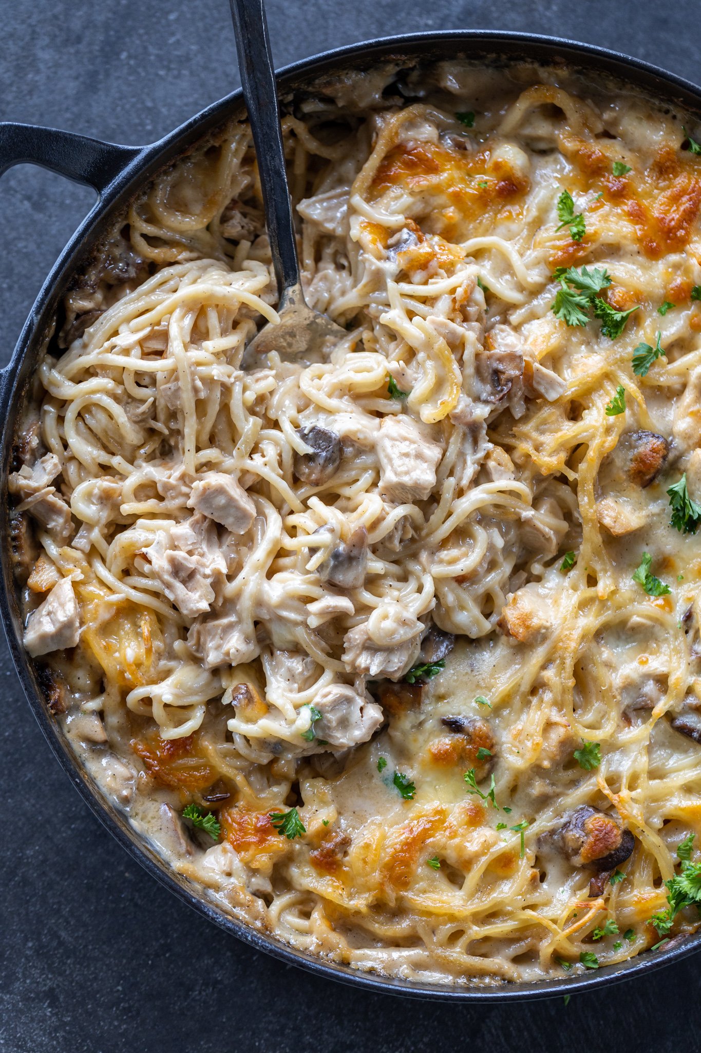 Easy Turkey Tetrazzini Recipe - Momsdish