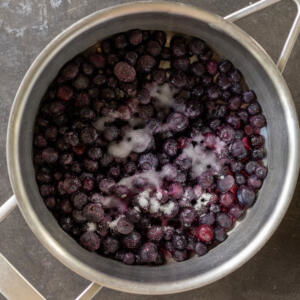 Blueberry Compote Recipe - Momsdish